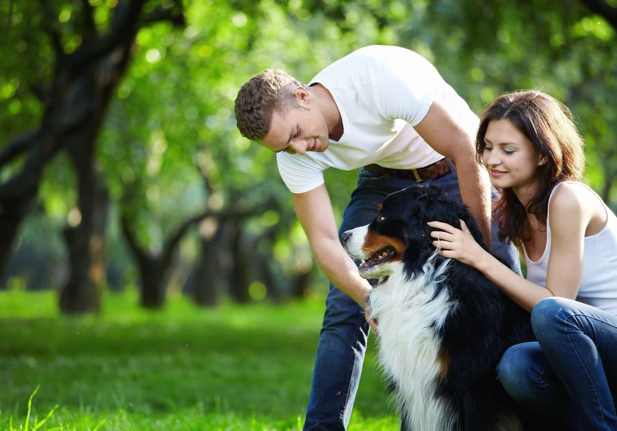 Are You a Crazy Dog Person? - Play This Quiz To Get Answer | Reckon Talk