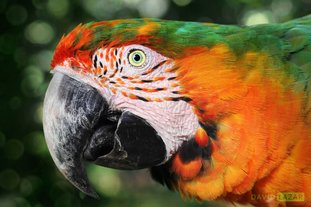 20 Amazing Photos of Brazil | Heaven for Photographers | Reckon Talk