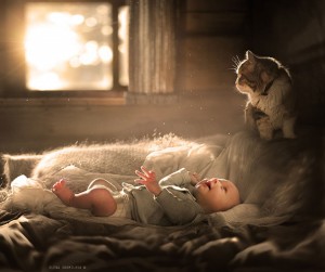 Baby Vs Cat: 22 Cutest Photos Shows Beautiful Relation Of Human ...