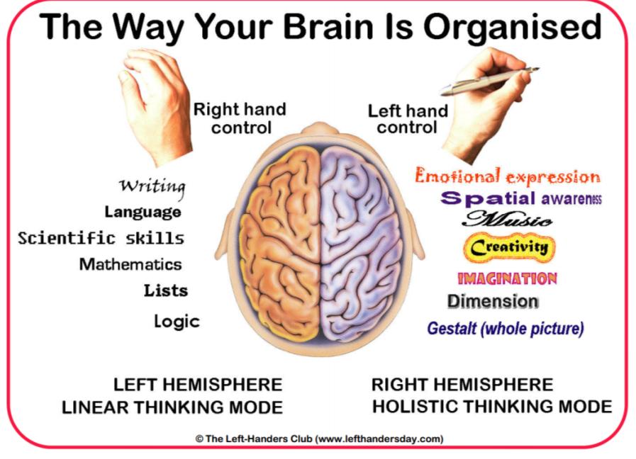 10 Mind Blowing Amazing Facts About Human Brain | Reckon Talk 10 Mind Blowing Amazing Facts About Human Brain | Reckon Talk