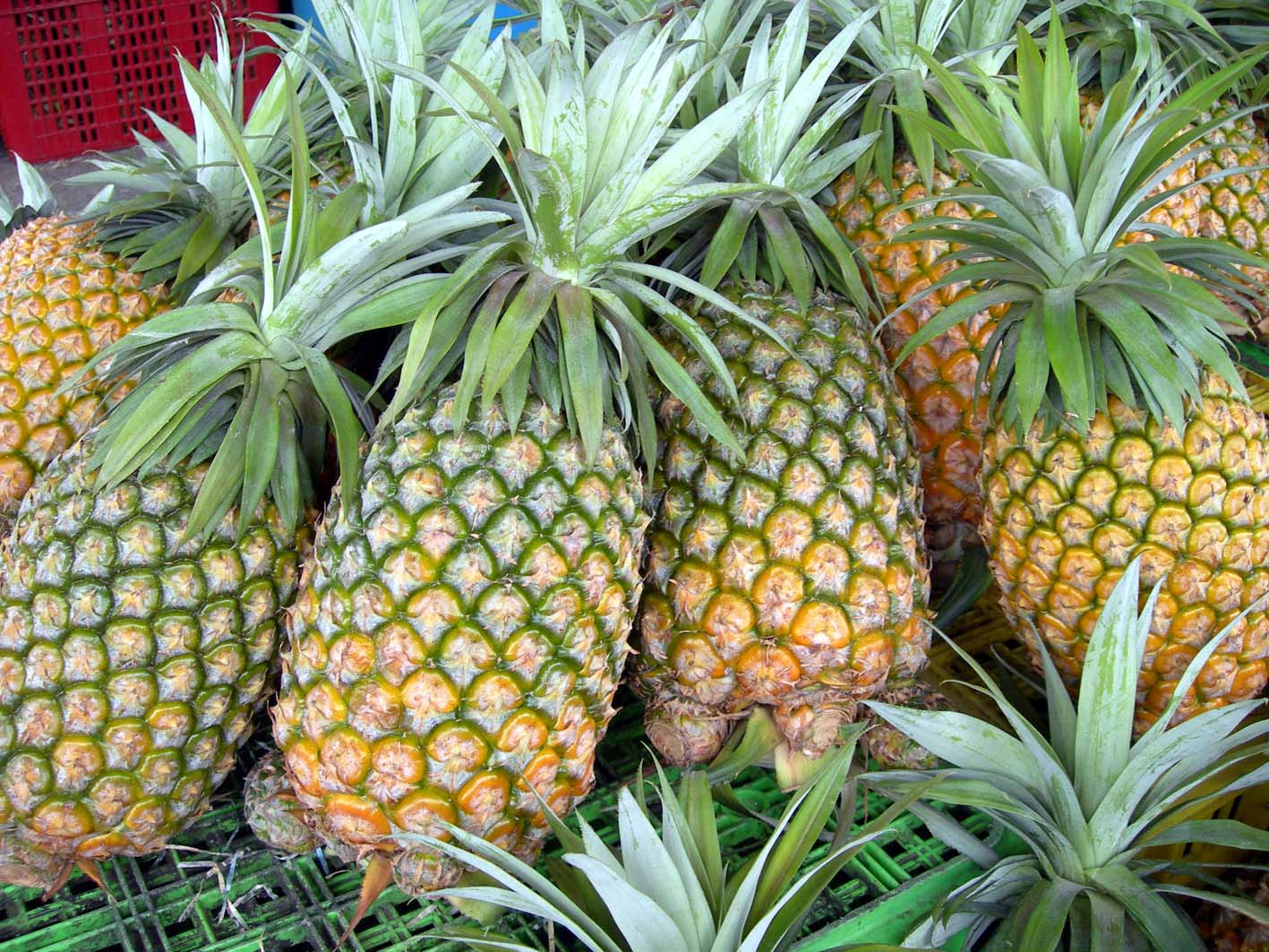 Health Benefits Of Pineapples Aka Ananas 11 Amazing Surprising