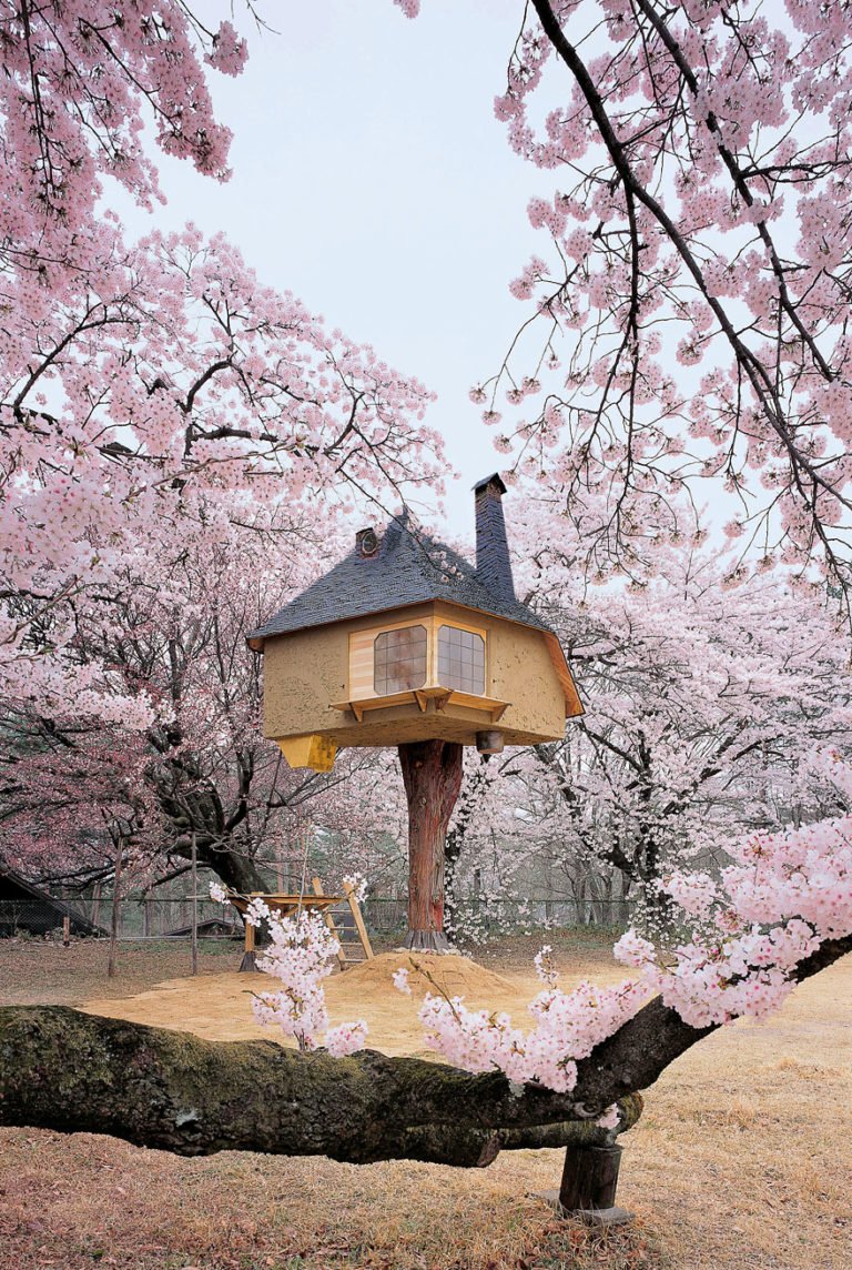 Top 30+ amazing TreeHouses architecture around the world | Reckon Talk