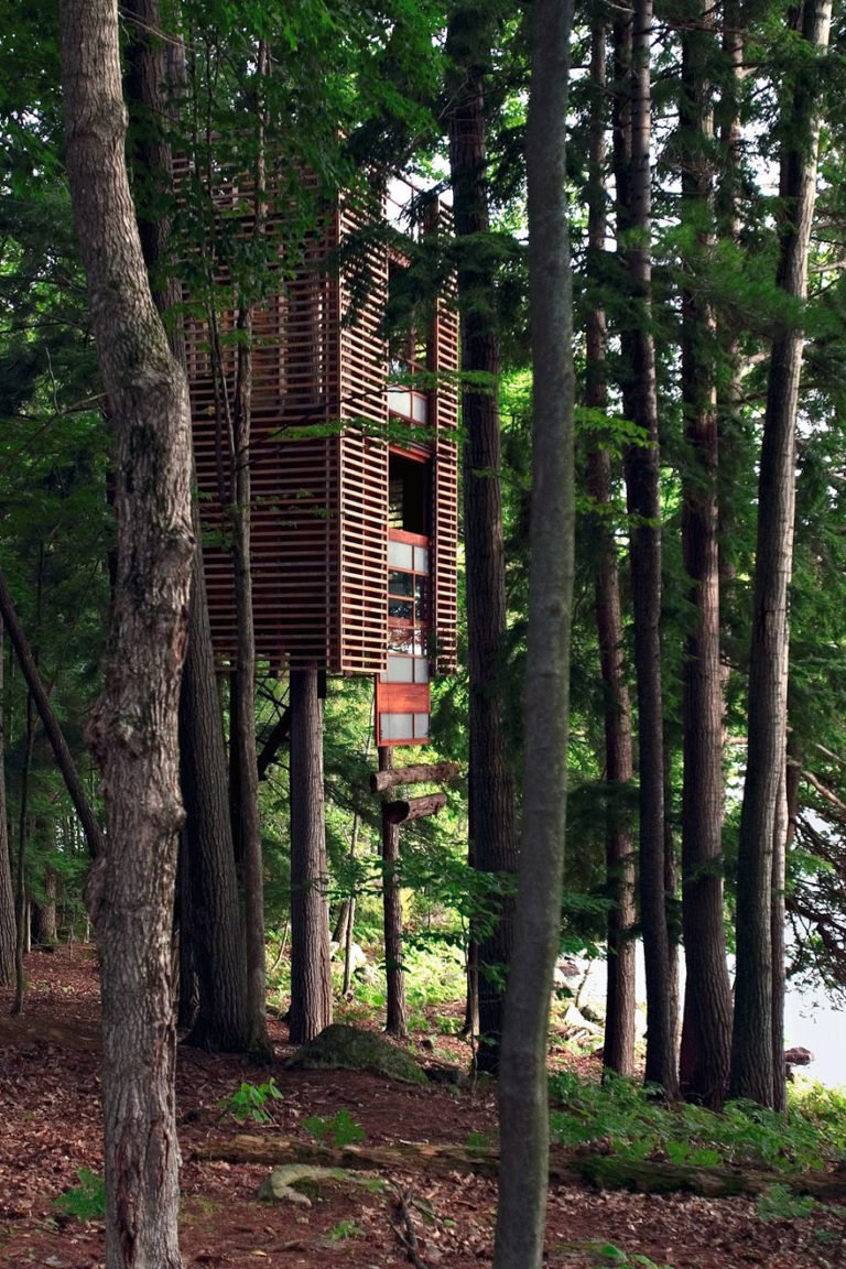 Top 30+ amazing TreeHouses architecture around the world | Reckon Talk