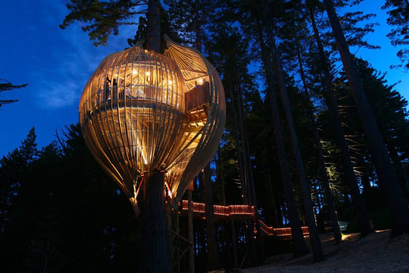 Top 30+ amazing TreeHouses architecture around the world | Reckon Talk