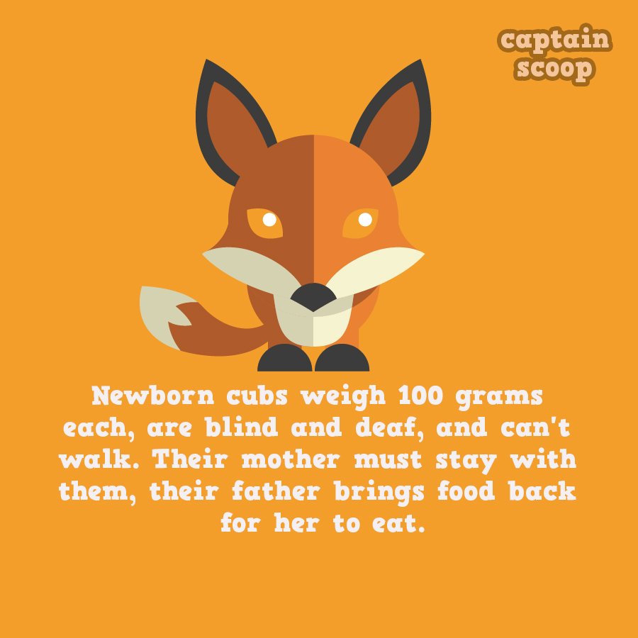 15 Amazing Facts You Never Know About Animals Reckon Talk 15 Amazing Facts You Never Know About Animals Reckon Talk