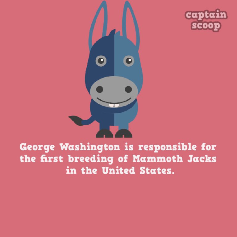 15 Amazing Facts You Never Know About Animals | Reckon Talk