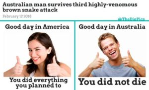 28 Funny Crazy Meme Pictures Meanwhile In Australia | Reckon Talk