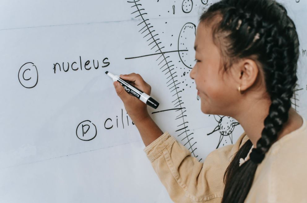 How to Ace Your Biology Test: 5 Study Tips from Subject Experts ...