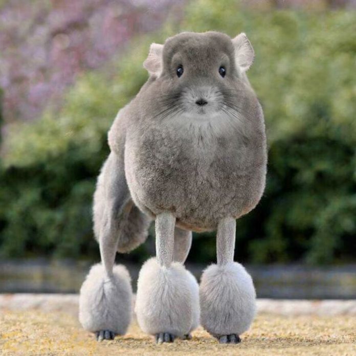 40 Stupidest Animal Hybrids – Only as weird as your imagination ...