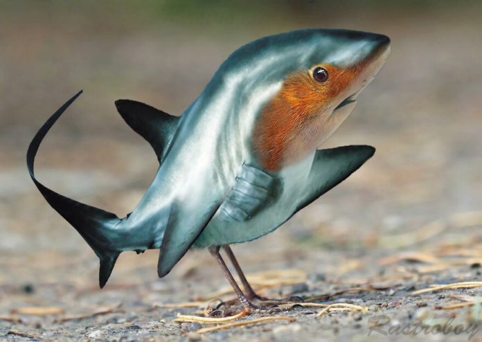 40 Stupidest Animal Hybrids – Only as weird as your imagination ...