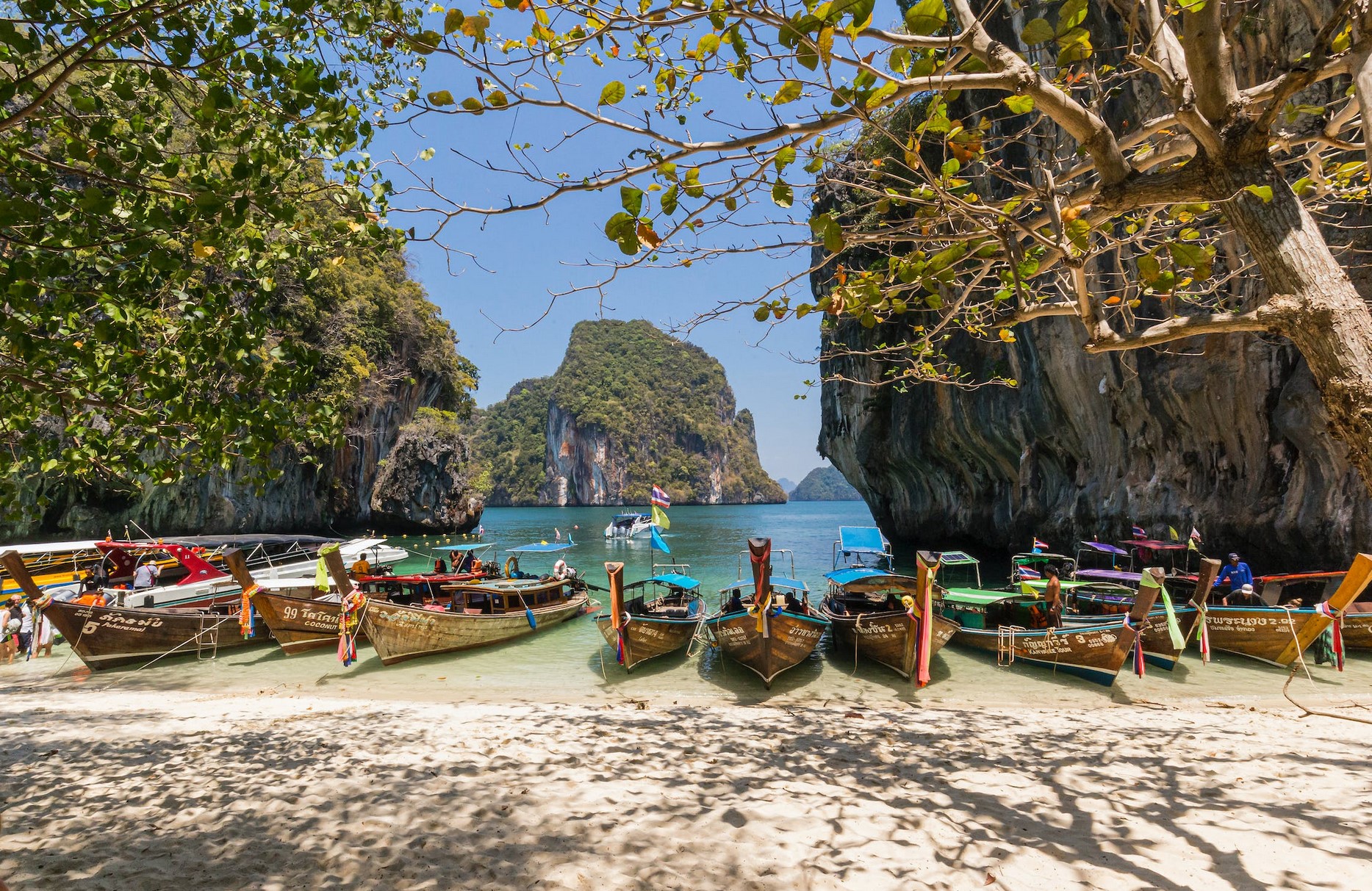 What are the Best Movies to Watch to Get a Taste of Thai Cinema? | Reckon Talk