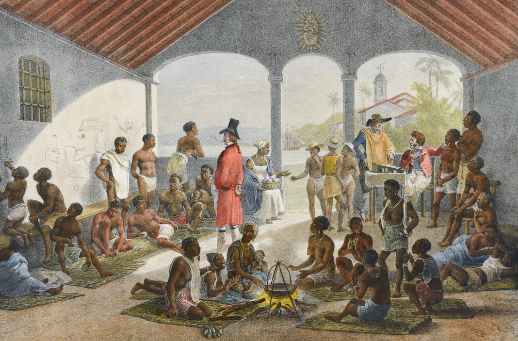 The origins of Brazil: tracing the pre-colonial history of Brazil and ...