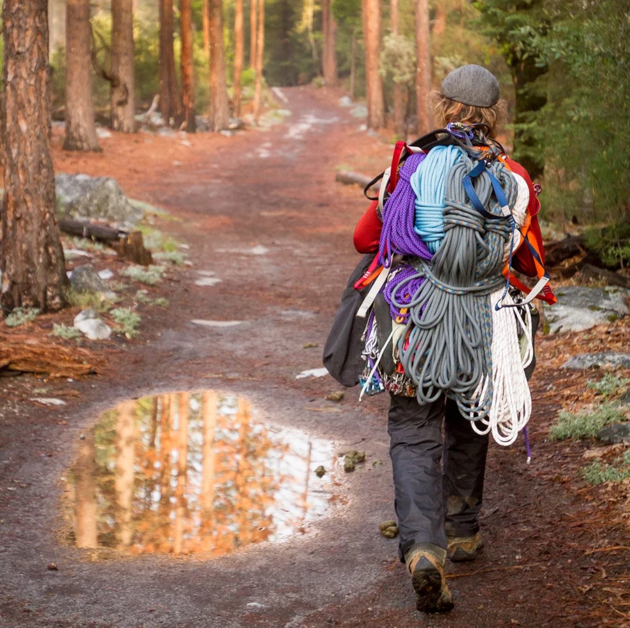 Exploring the Thrills of Climbing: Lessons in Risk Management and ...