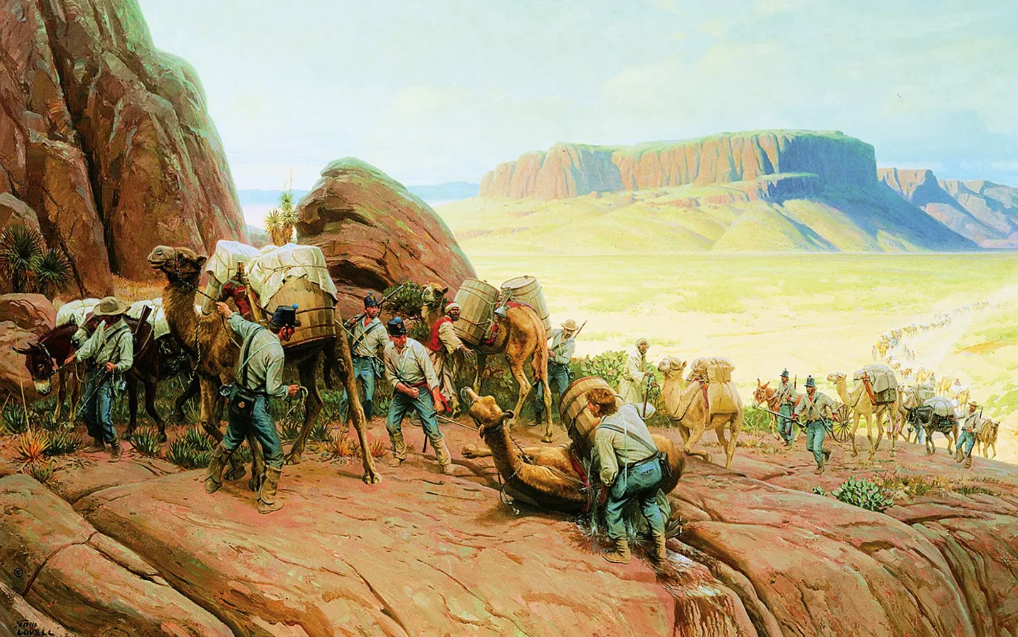 The Camel Corps Experiment: Exploring America’s Unique Military ...