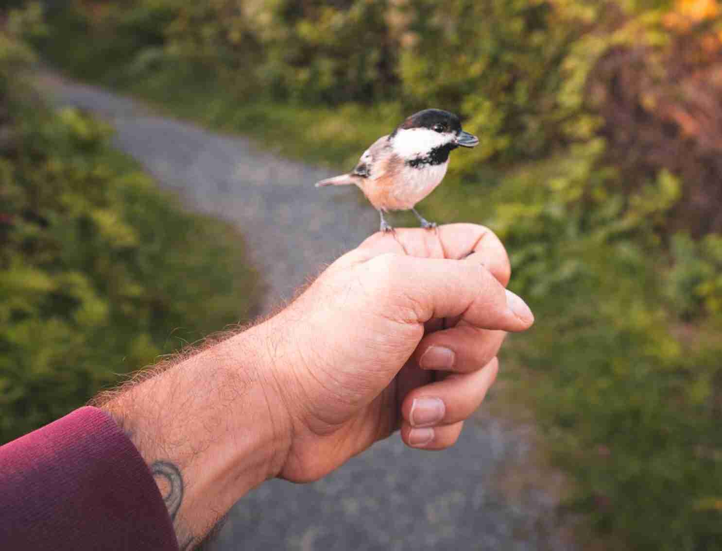 The Benefits of Having a Humane Organization in Our Society | Reckon Talk