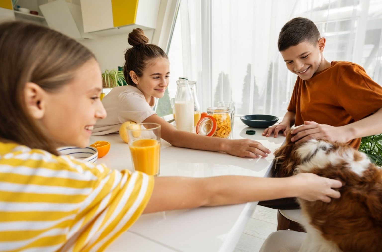 Traveling with Pets: Ultimate Pet‑Friendly Guides for Your Next ...